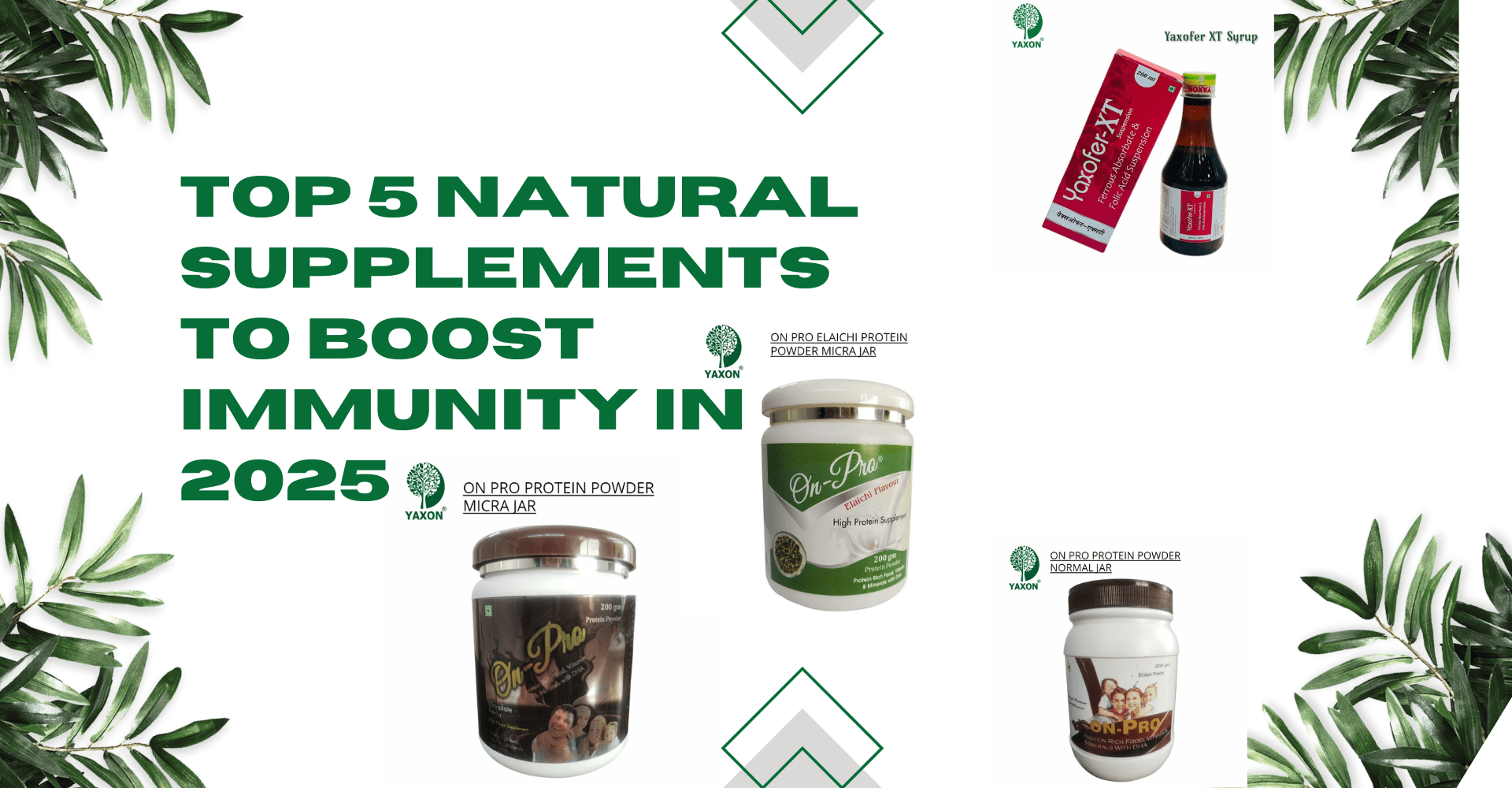 Top 5 Natural Supplements to Boost Immunity in 2025