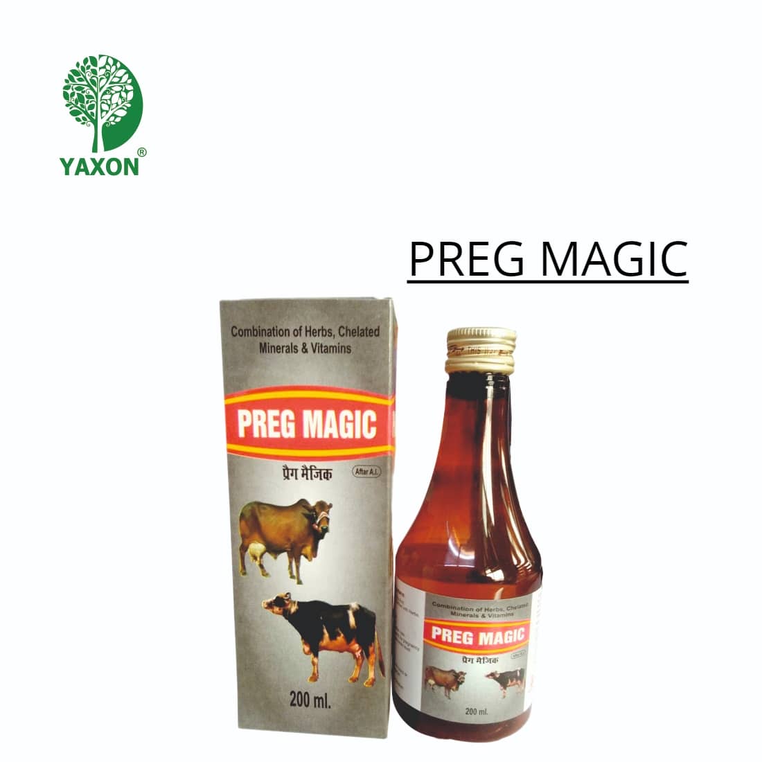 Yaxon Care : Skincare Products | Beauty & Personal Care